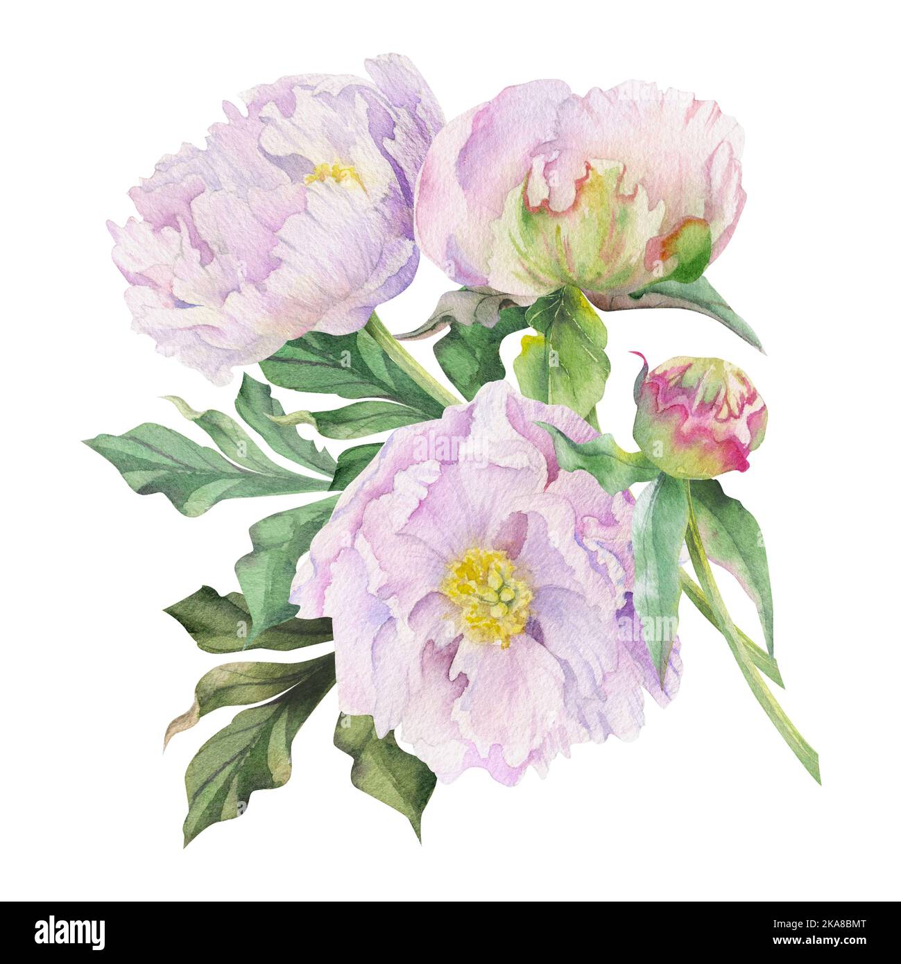 Watercolor bouquet arrangement with hand drawn delicate pink peony ...