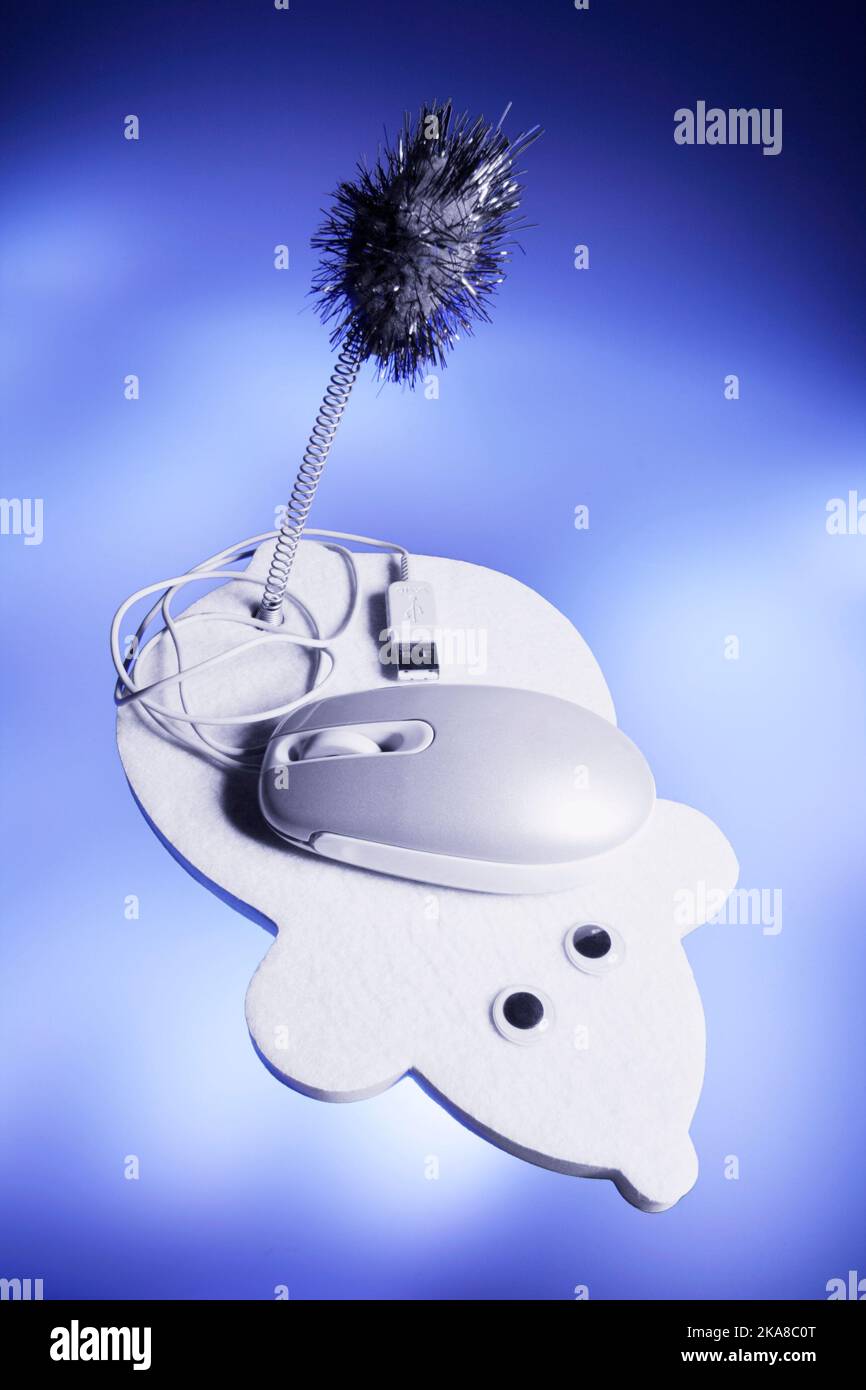 Computer Mouse on Cat Scratch Pad Stock Photo - Alamy