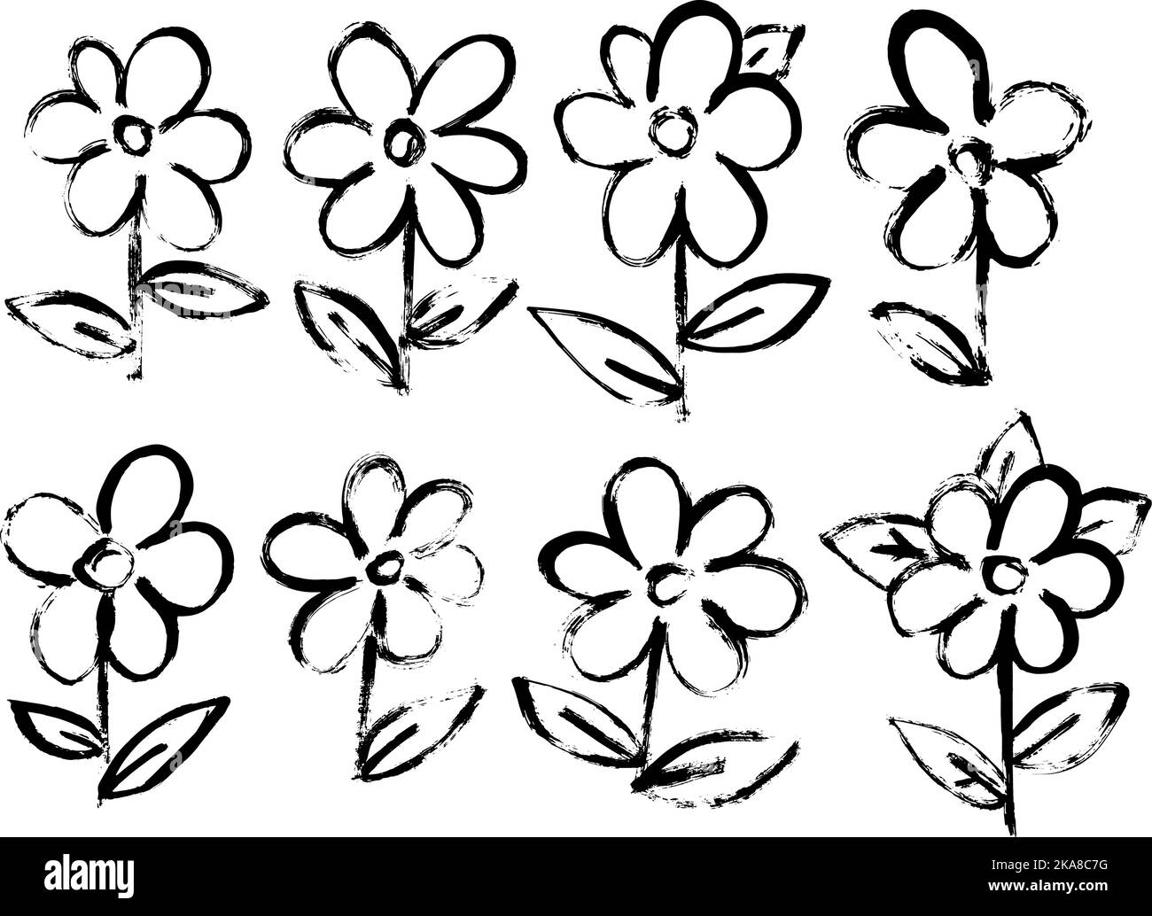 Isolated painted daisy botanical Stock Vector Images - Alamy