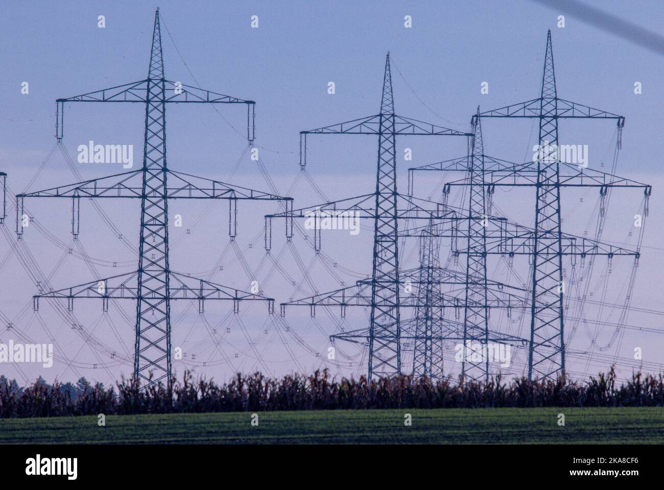 PRODUCTION - 01 November 2022, Mecklenburg-Western Pomerania, Groß ...