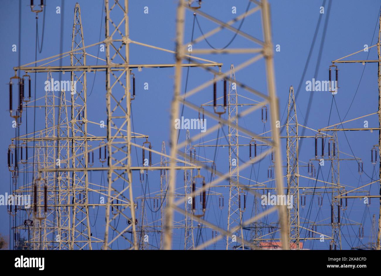 PRODUCTION - 01 November 2022, Mecklenburg-Western Pomerania, Groß ...