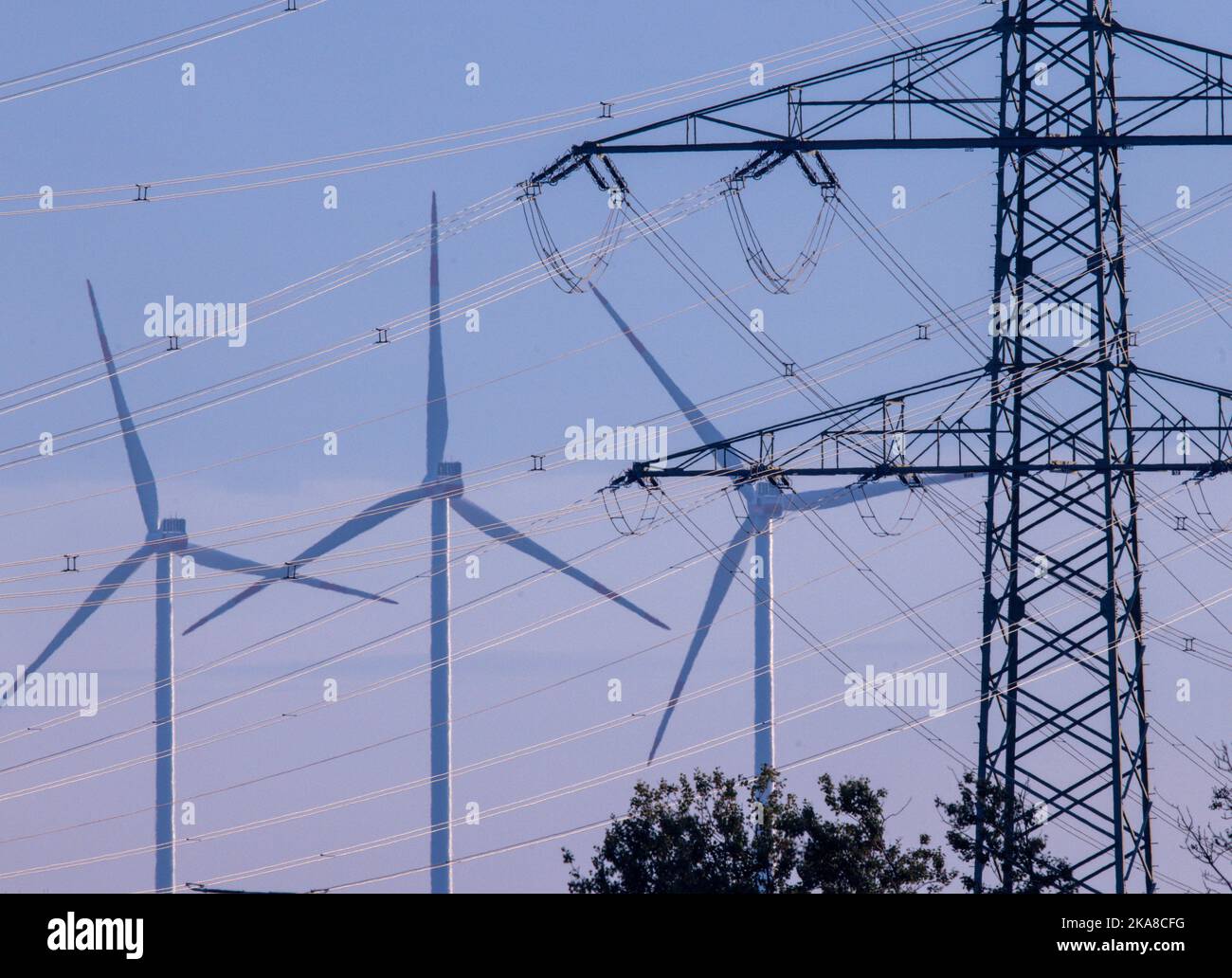 PRODUCTION - 01 November 2022, Mecklenburg-Western Pomerania, Groß ...