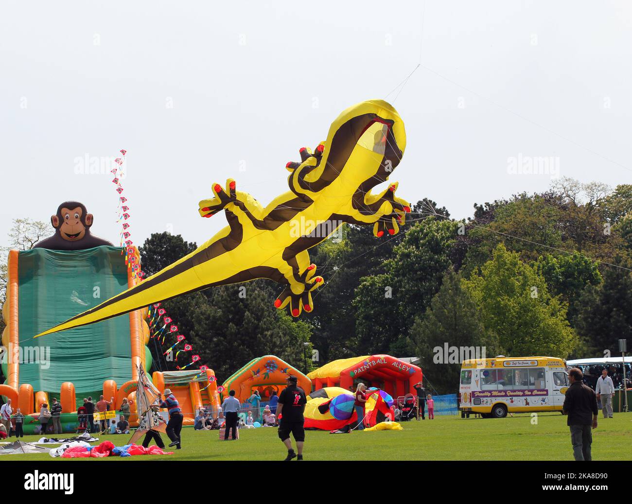 Unusual kite hi-res stock photography and images - Alamy