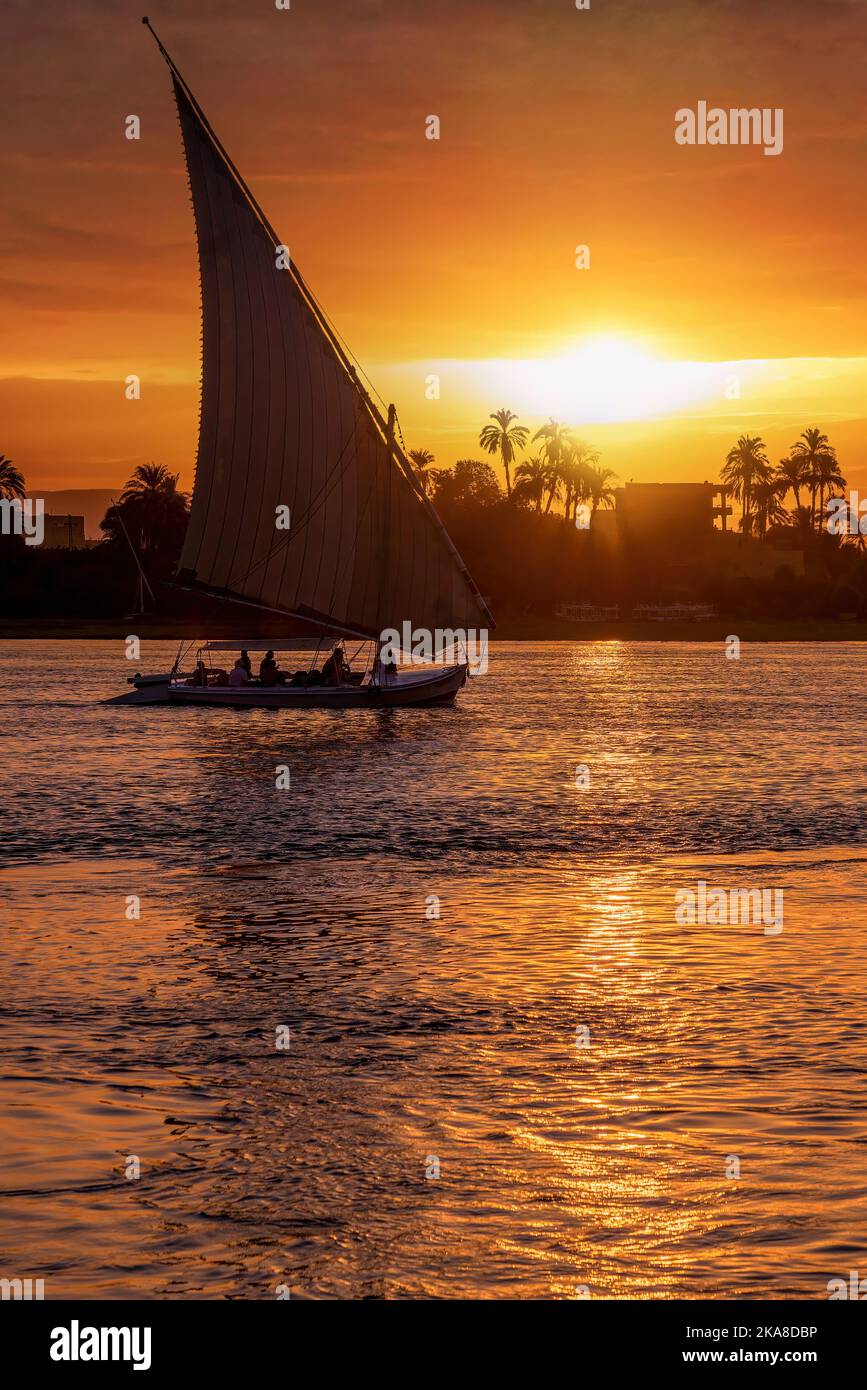 A felucca sailing on the Nile at Aswan Stock Photo - Alamy