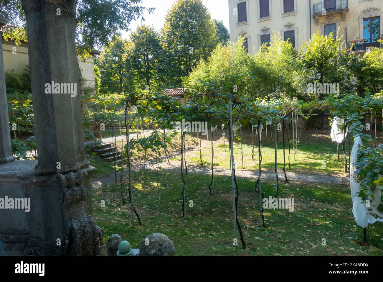 Leonardo’s vineyard in milan hi-res stock photography and images - Alamy