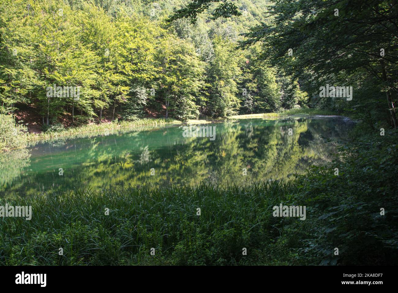 Grza lake hi-res stock photography and images - Alamy
