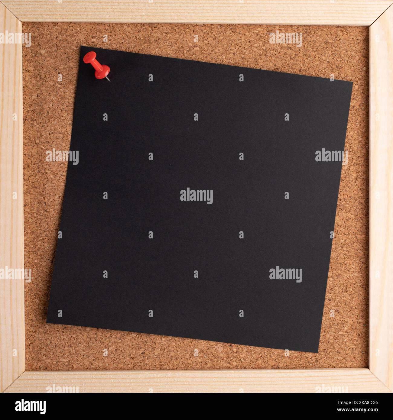 Cork note board with wooden frame with blank black square sheet for ...