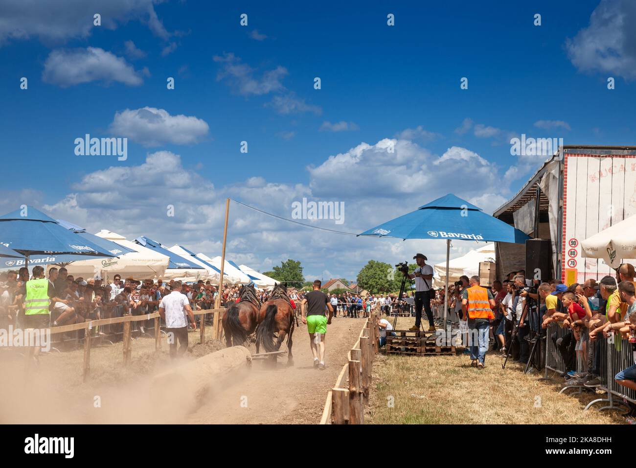 Picture of men taming horses in the Rumska Straparijada market, with a ...