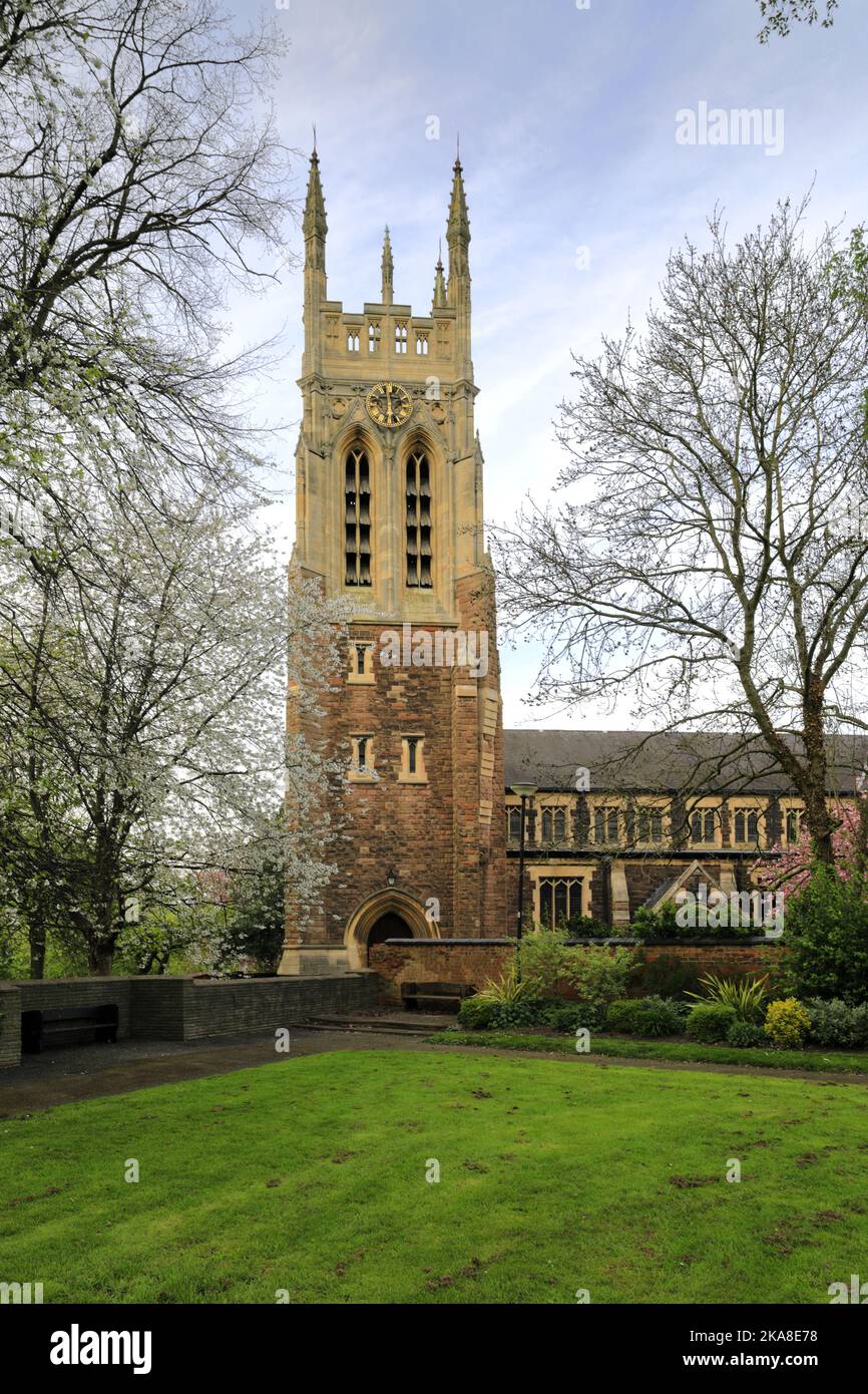 St Peters church, Burton Upon Trent town, Staffordshire, England; UK ...