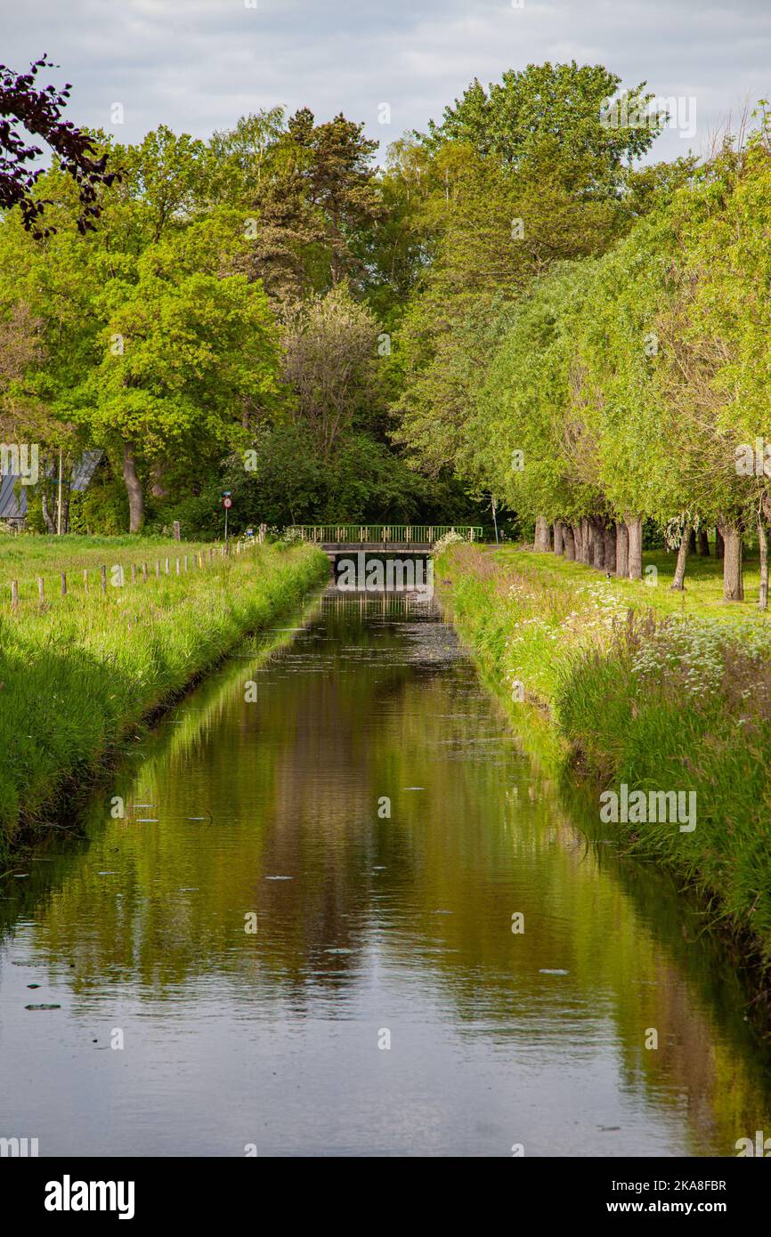 A scenic landscape with a channel and beautiful green foliage and grass ...