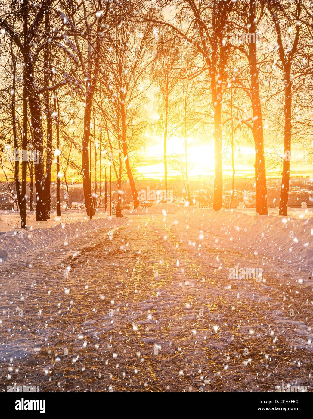 Sunset or dawn in a winter city park with benches and sidewalks covered ...