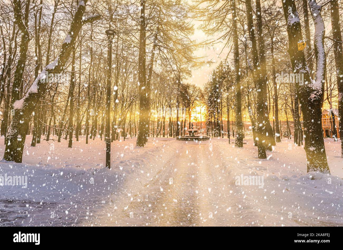 Sunset or dawn in a winter city park with benches and sidewalks covered ...
