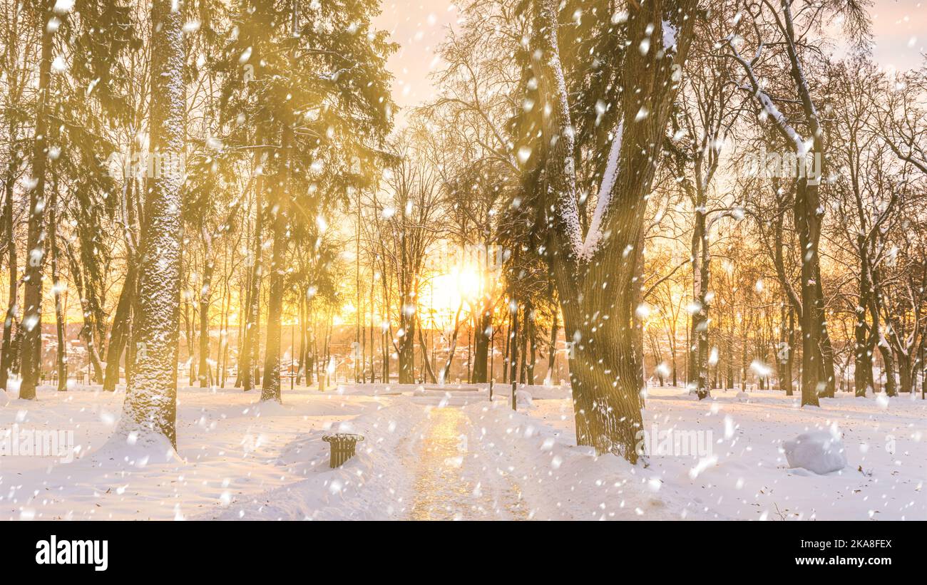 Sunset or dawn in a winter city park with benches and sidewalks covered ...