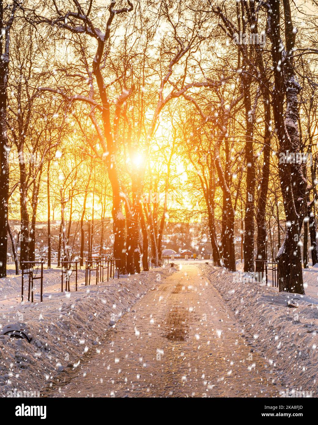 Sunset or dawn in a winter city park with benches and sidewalks covered ...