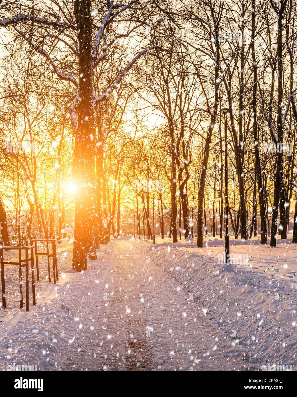 Sunset or dawn in a winter city park with benches and sidewalks covered ...