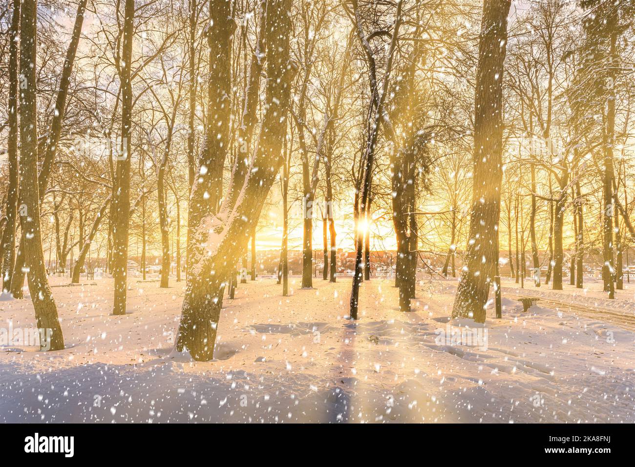 Sunset or dawn in a winter city park with benches and sidewalks covered ...