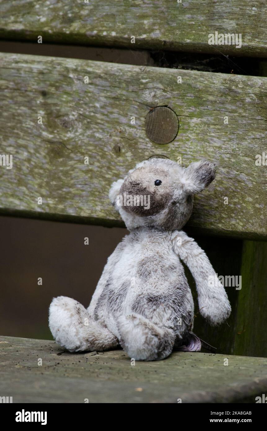 A Childs lost and muddy soft toy sitting on a bench showing the concept ...