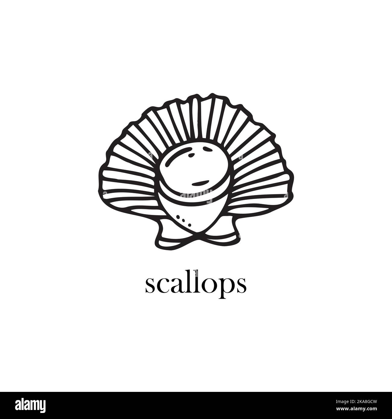 Scallops a fish Stock Vector Images - Alamy