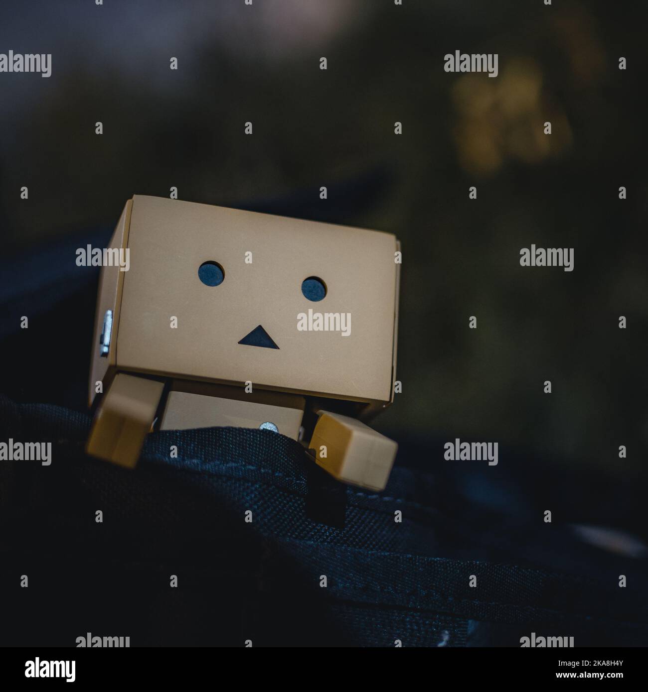Cute danboard hi-res stock photography and images - Alamy