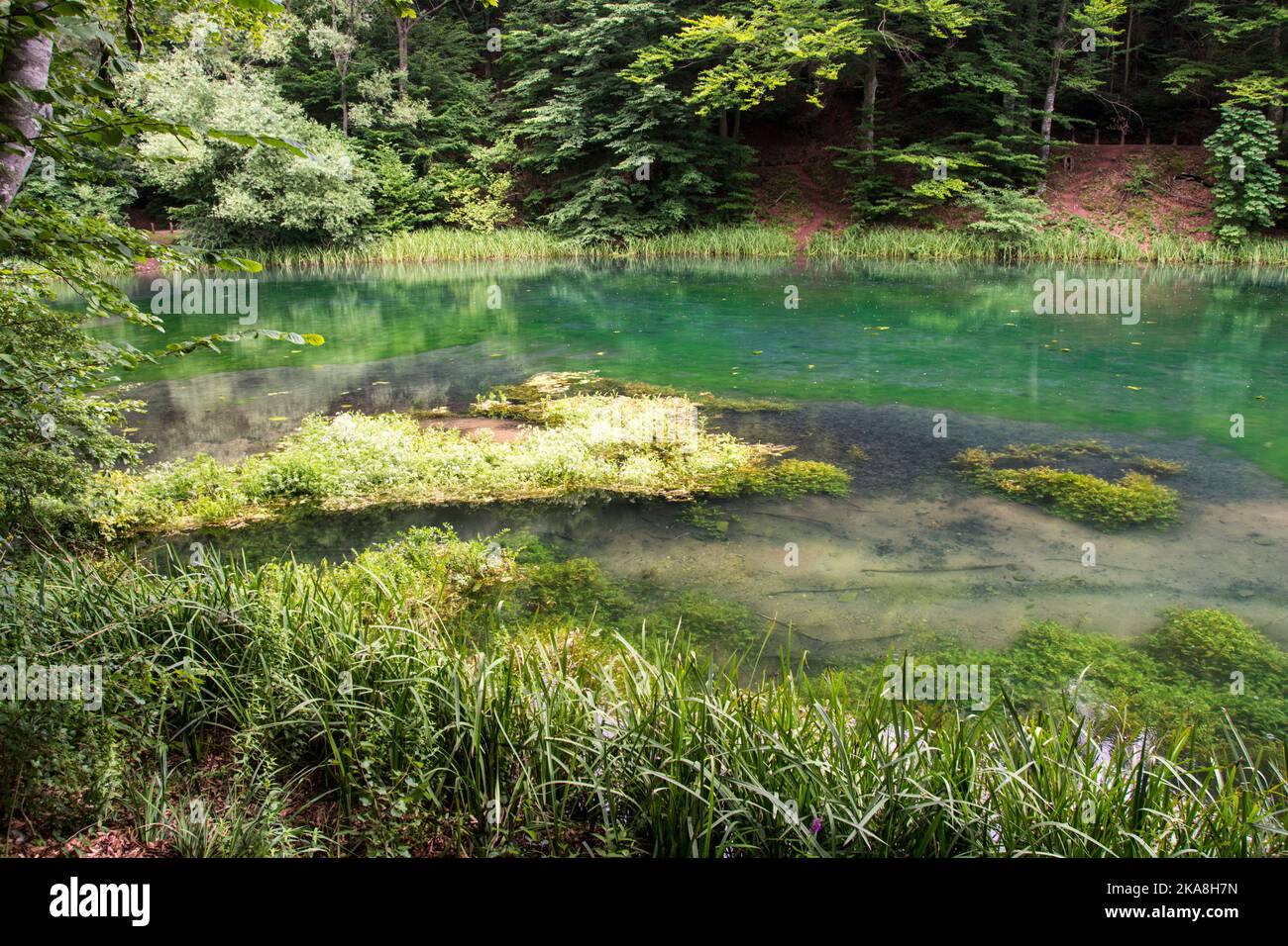 Grza lake hi-res stock photography and images - Alamy