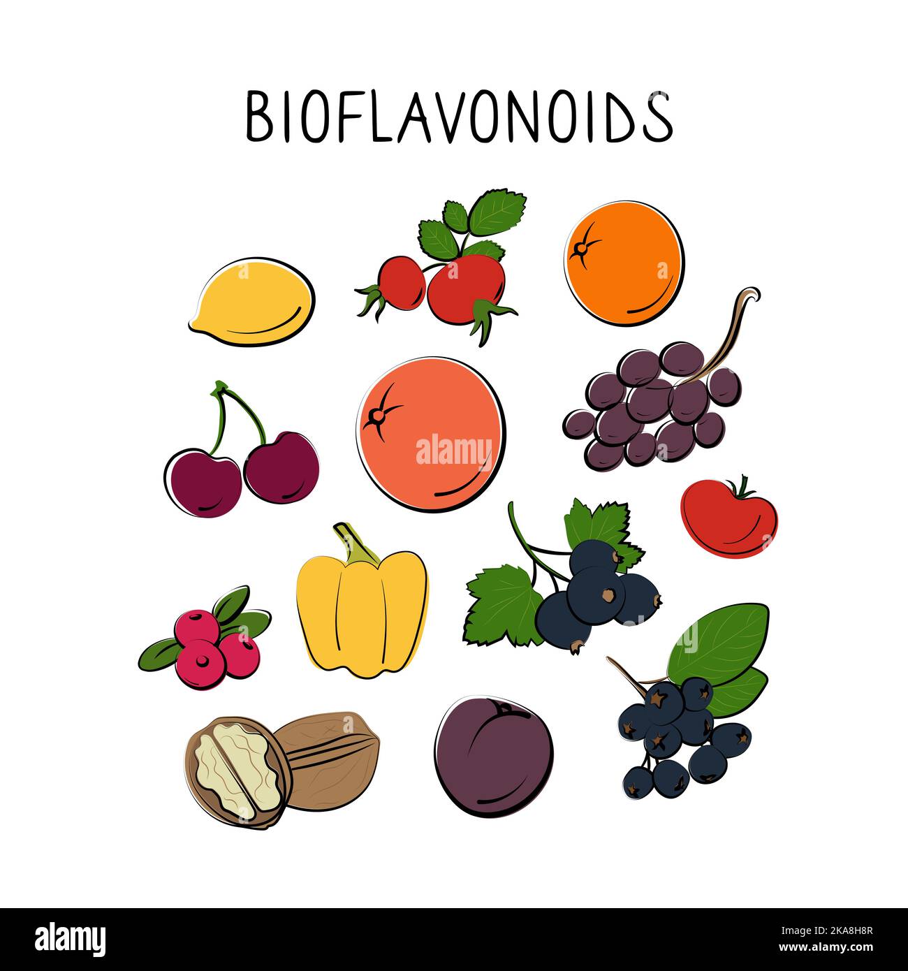 Bioflavonoid-containing food. Groups of healthy products containing ...