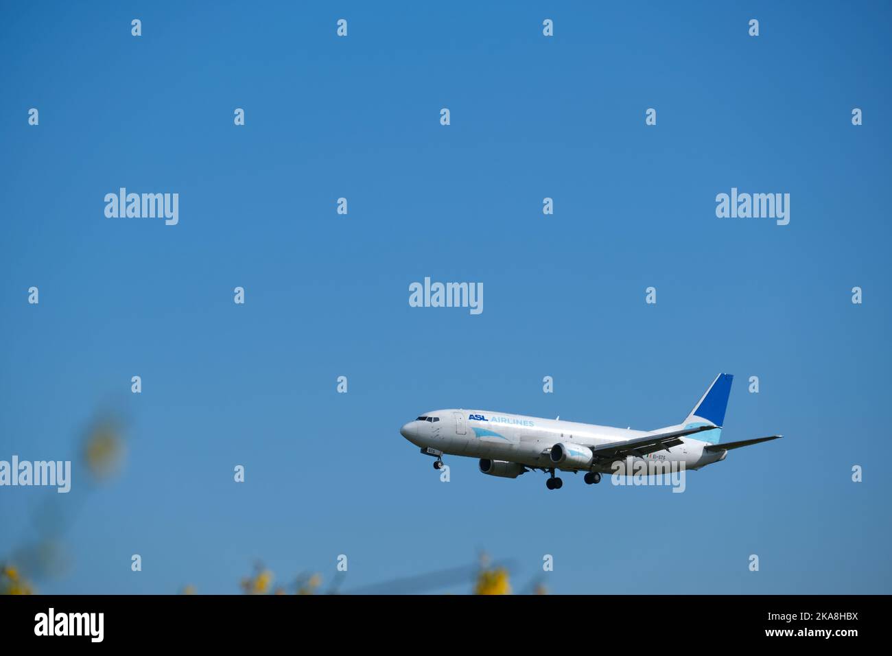 plane from asl airlines landing at cologne bonn airport Stock Photo - Alamy