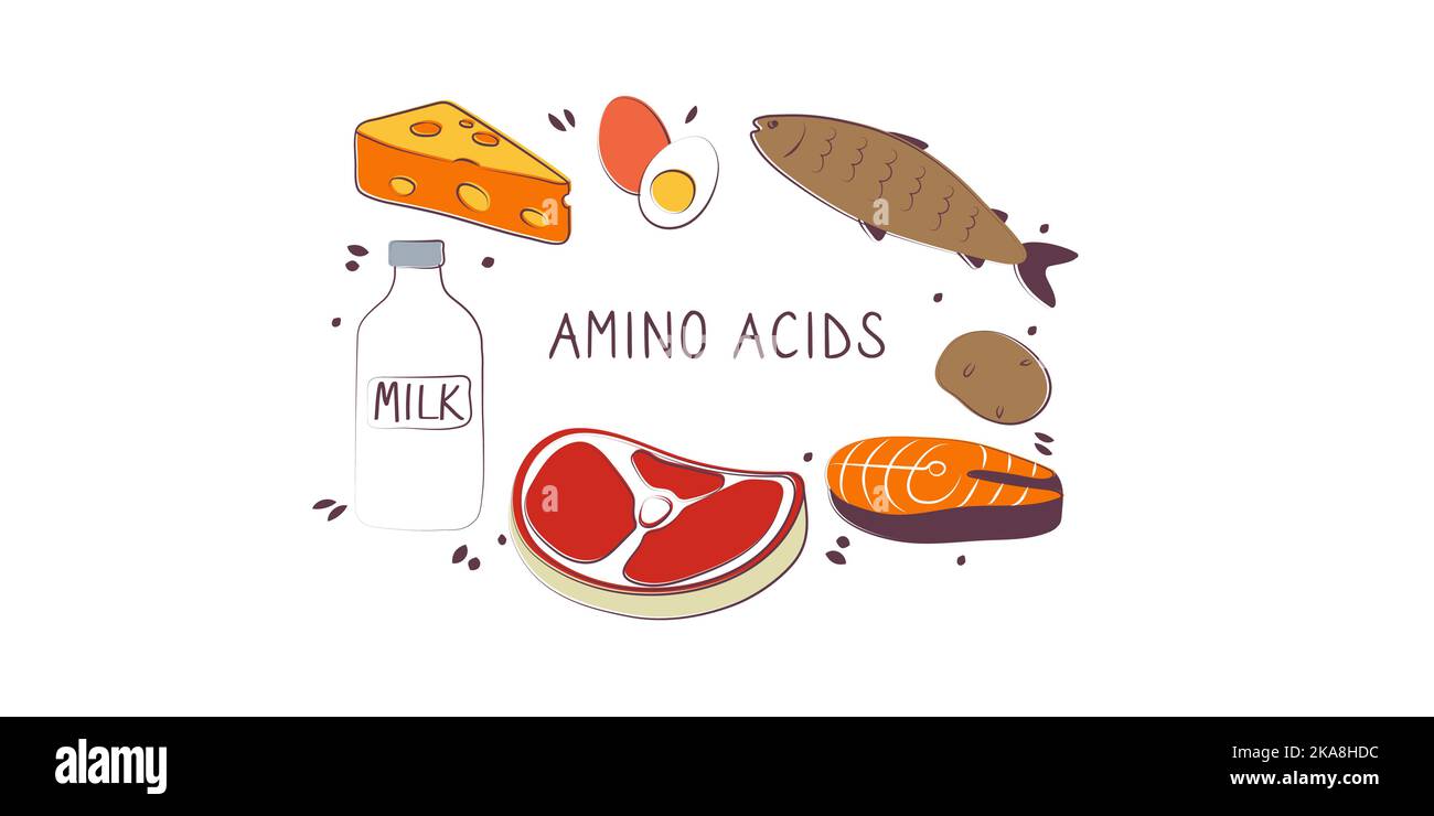 Amino acids-containing food. Groups of healthy products containing ...