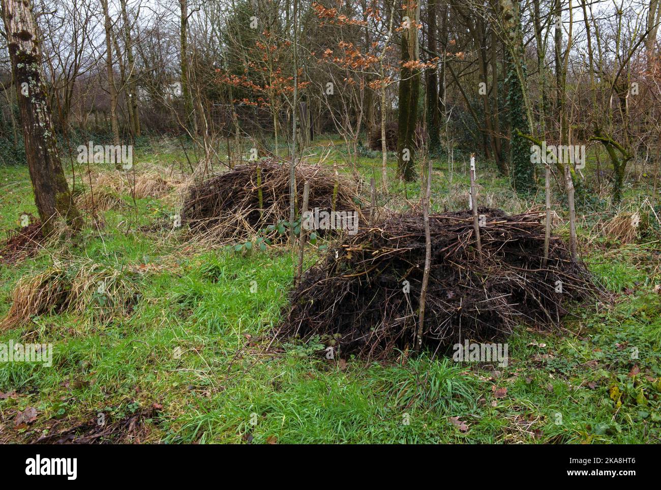 Brash piles hi-res stock photography and images - Alamy