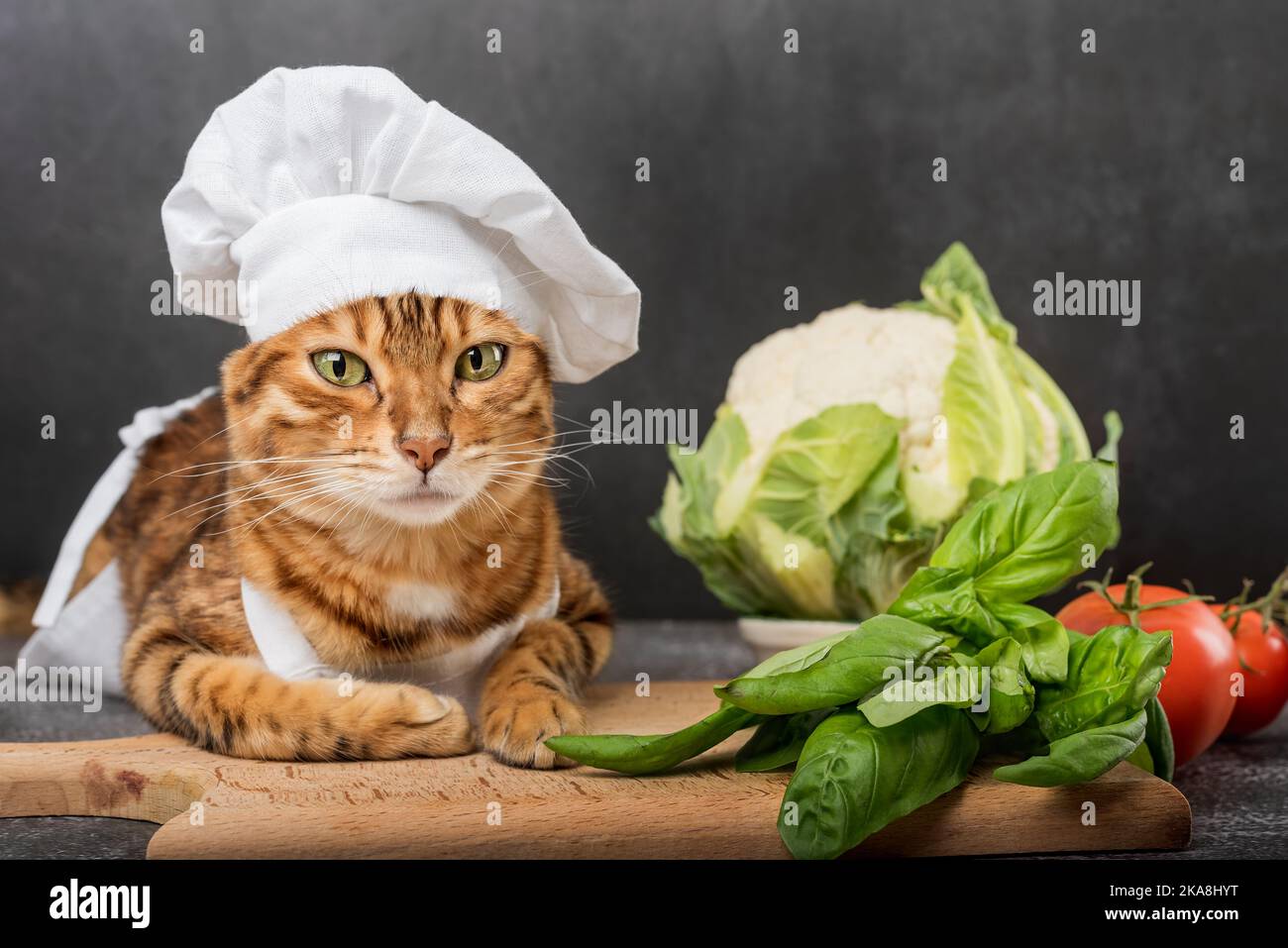 Funny cat cook and vegetables on a dark background. Healthy food ...
