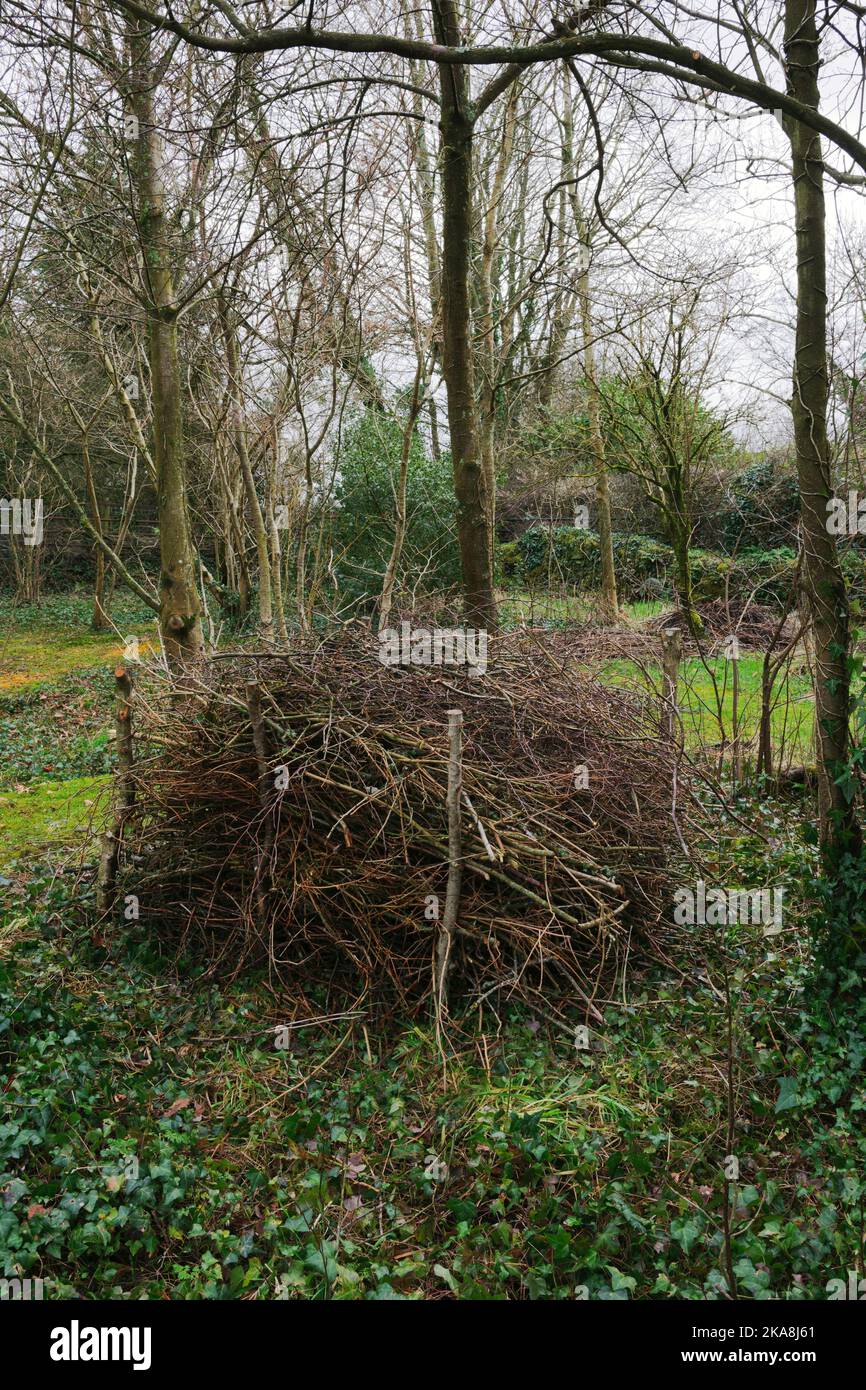 Prunings insects hi-res stock photography and images - Alamy