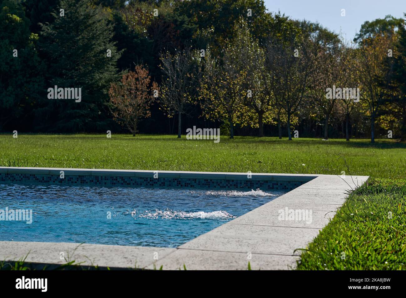 The Remodeled train carriage for country house with the swimming pool ...
