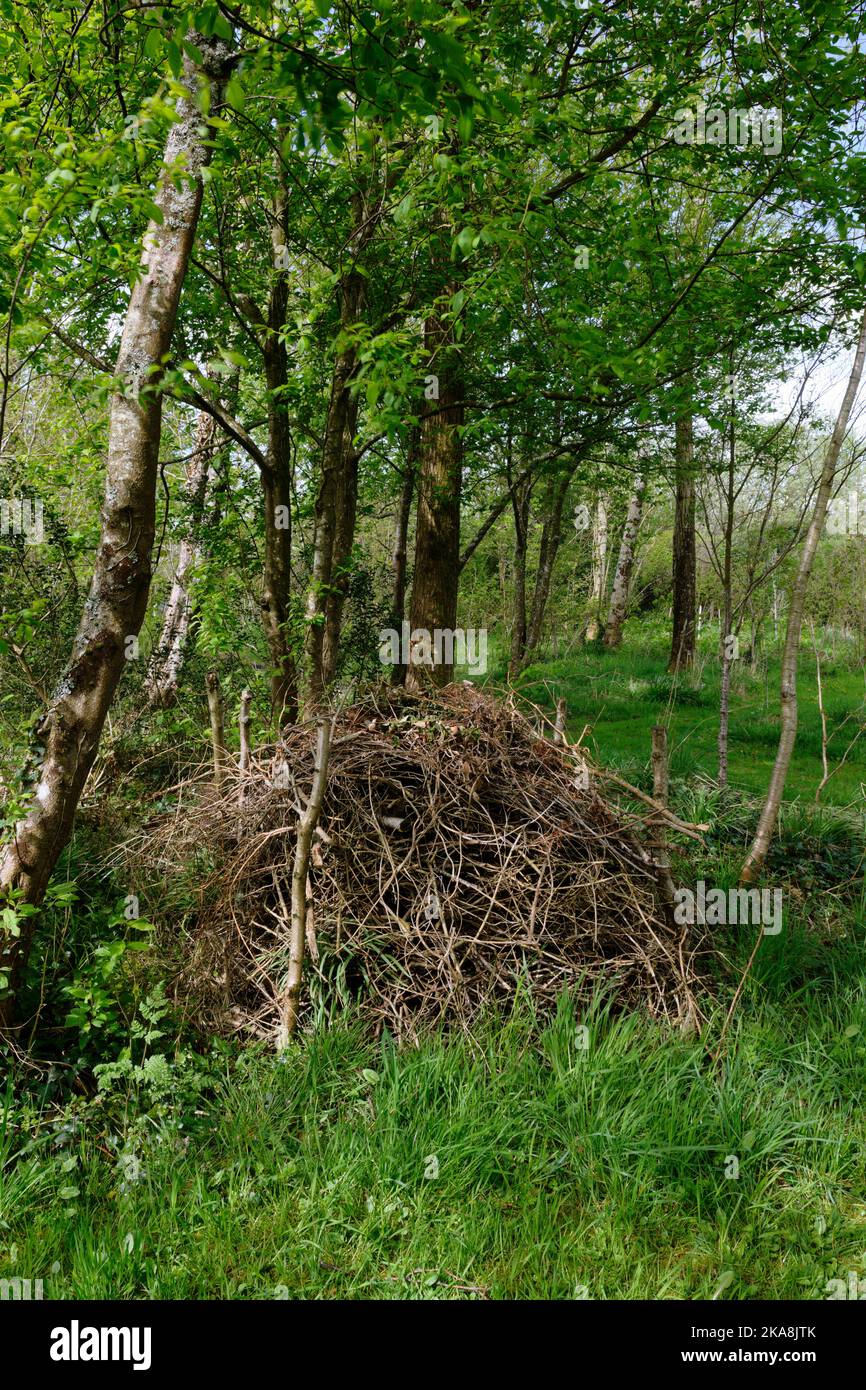 Uk stack hi hi-res stock photography and images - Alamy