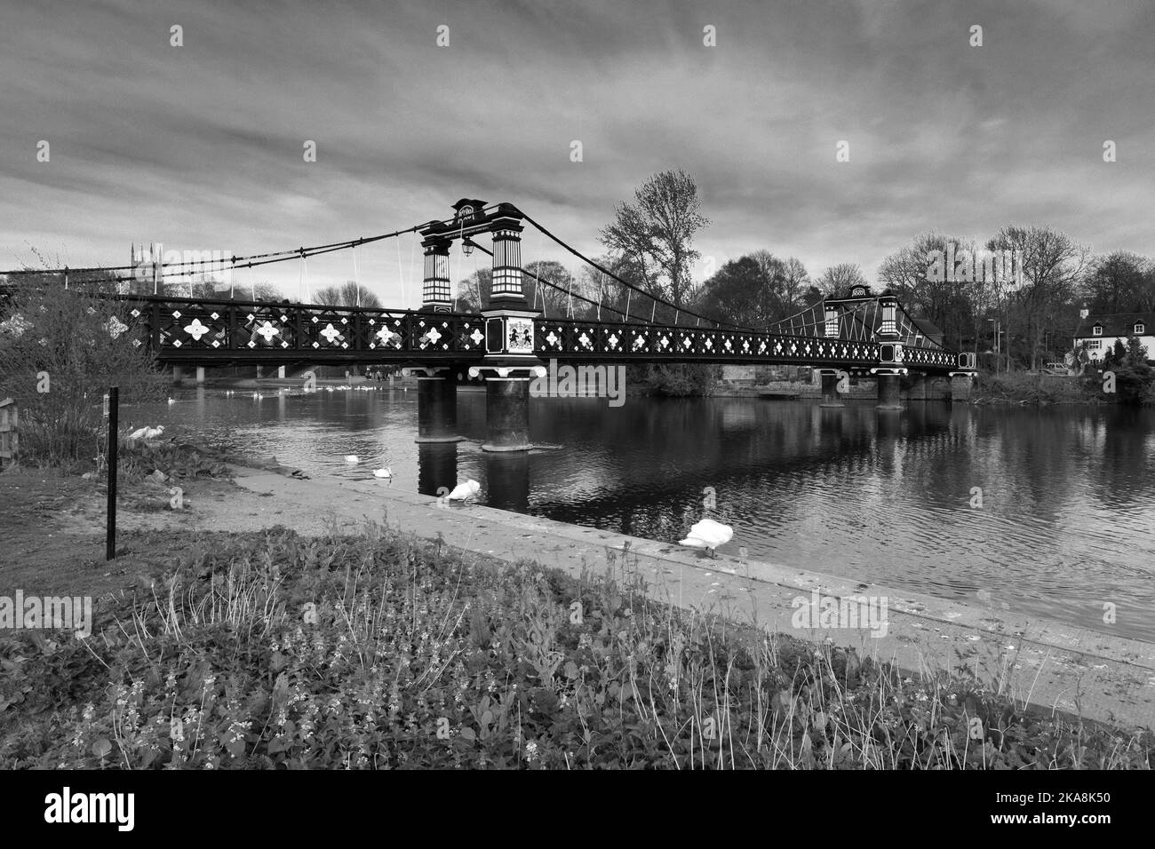 The Ferry bridge over the river Trent, Burton Upon Trent town ...