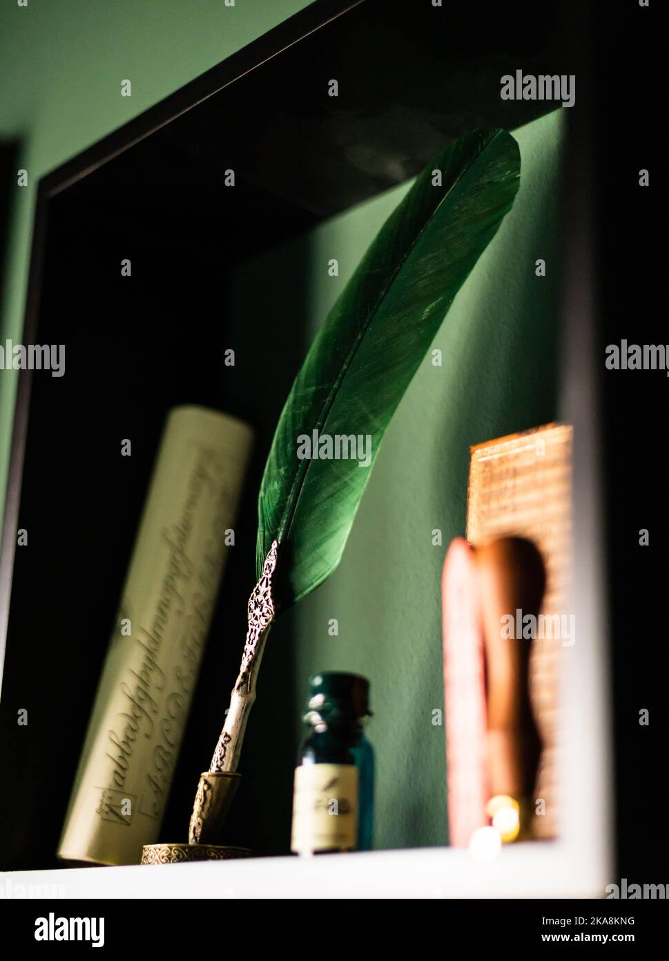 A vertical shallow focus of a gorgeous green feather pen and box on a ...