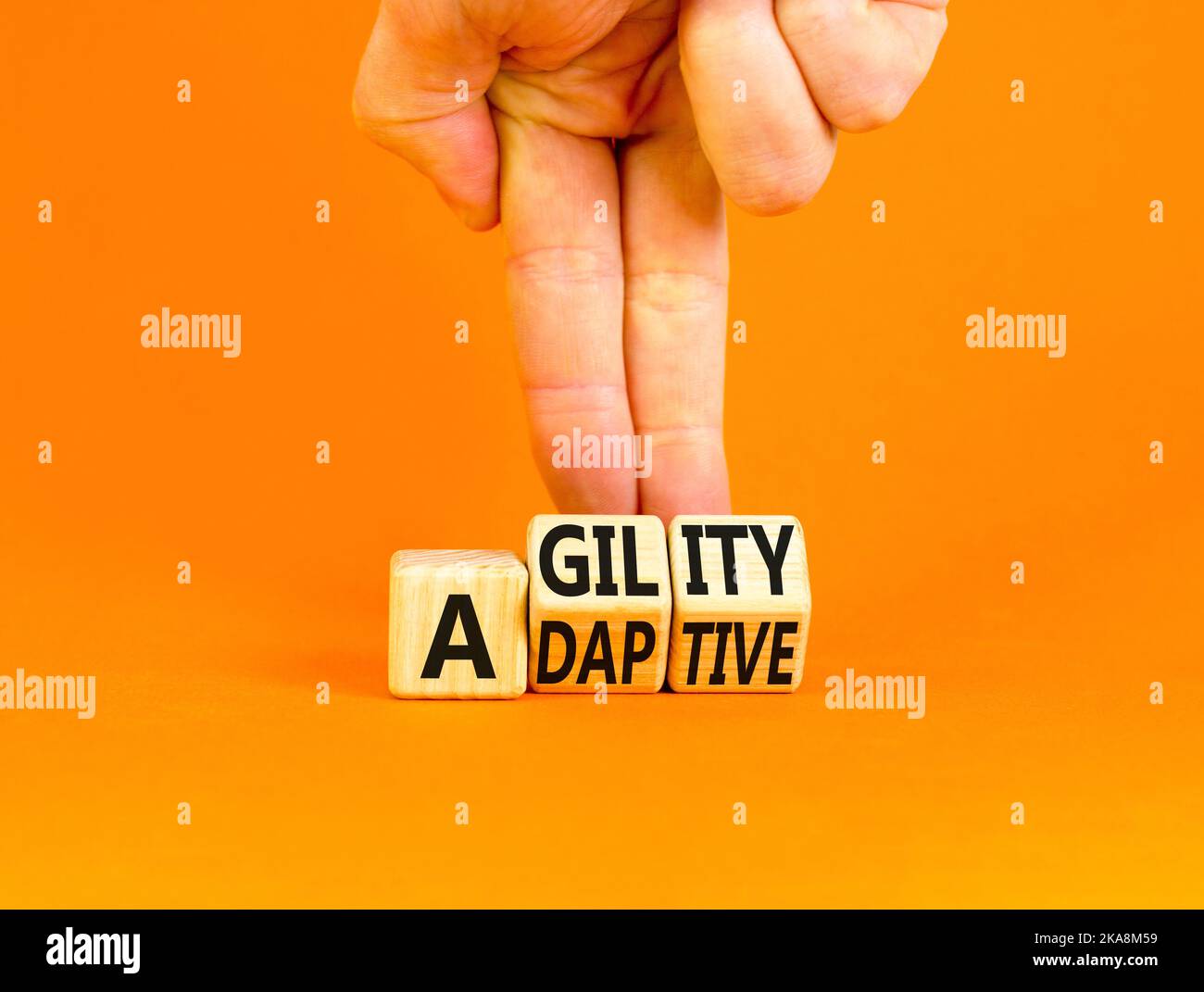 Agility and adaptive symbol. Concept words Agility and Adaptive on ...