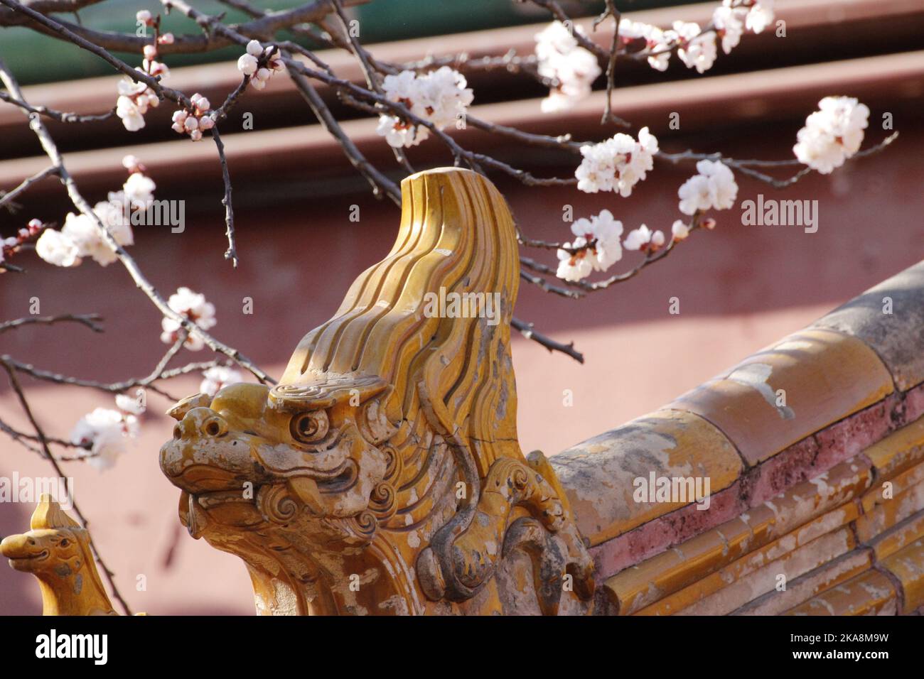 The roof detail of the ancient temple with dragon sculptures on a sunny ...