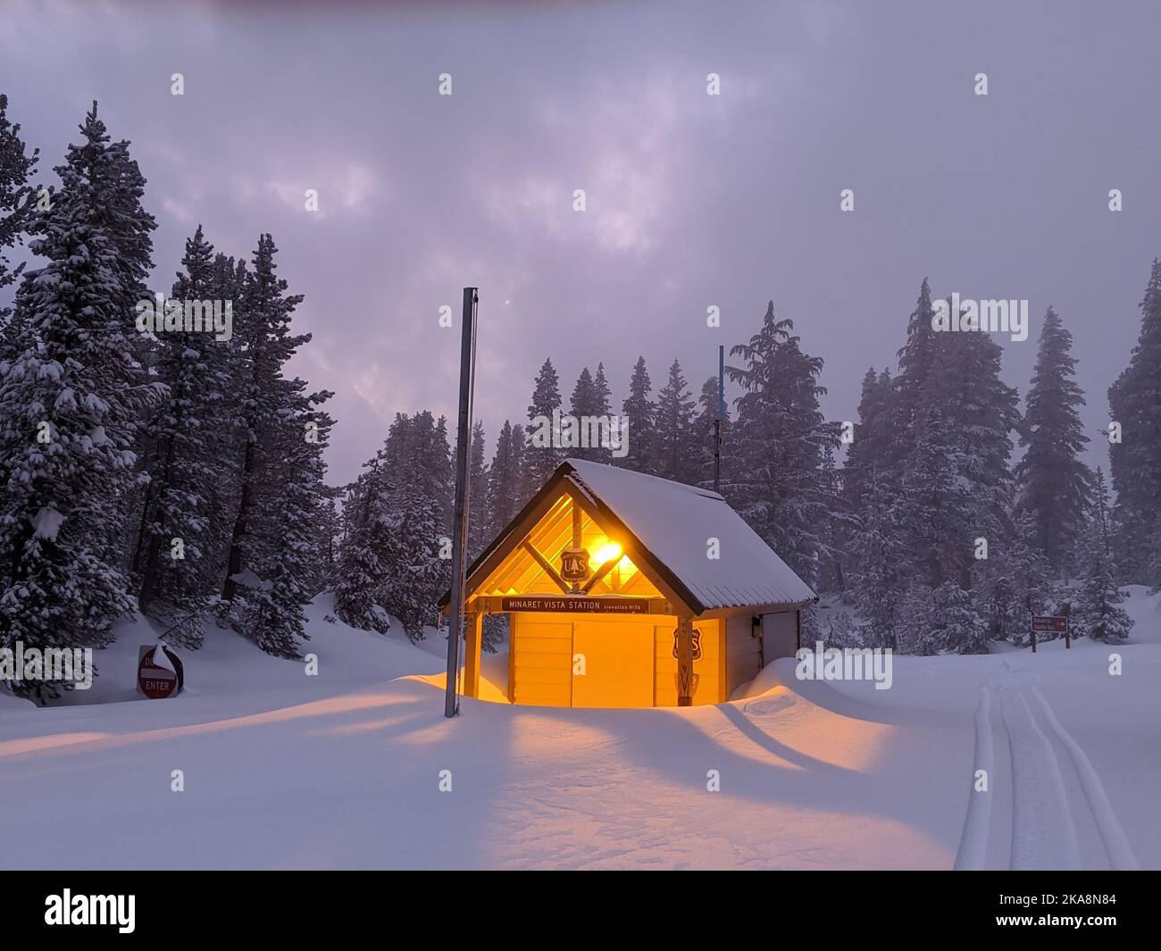 An illuminated golden cabin on a snowy field with pine trees at night ...