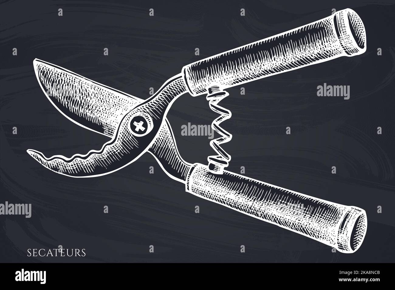 Gardening hand drawn vector illustrations collection. Chalk secateurs ...