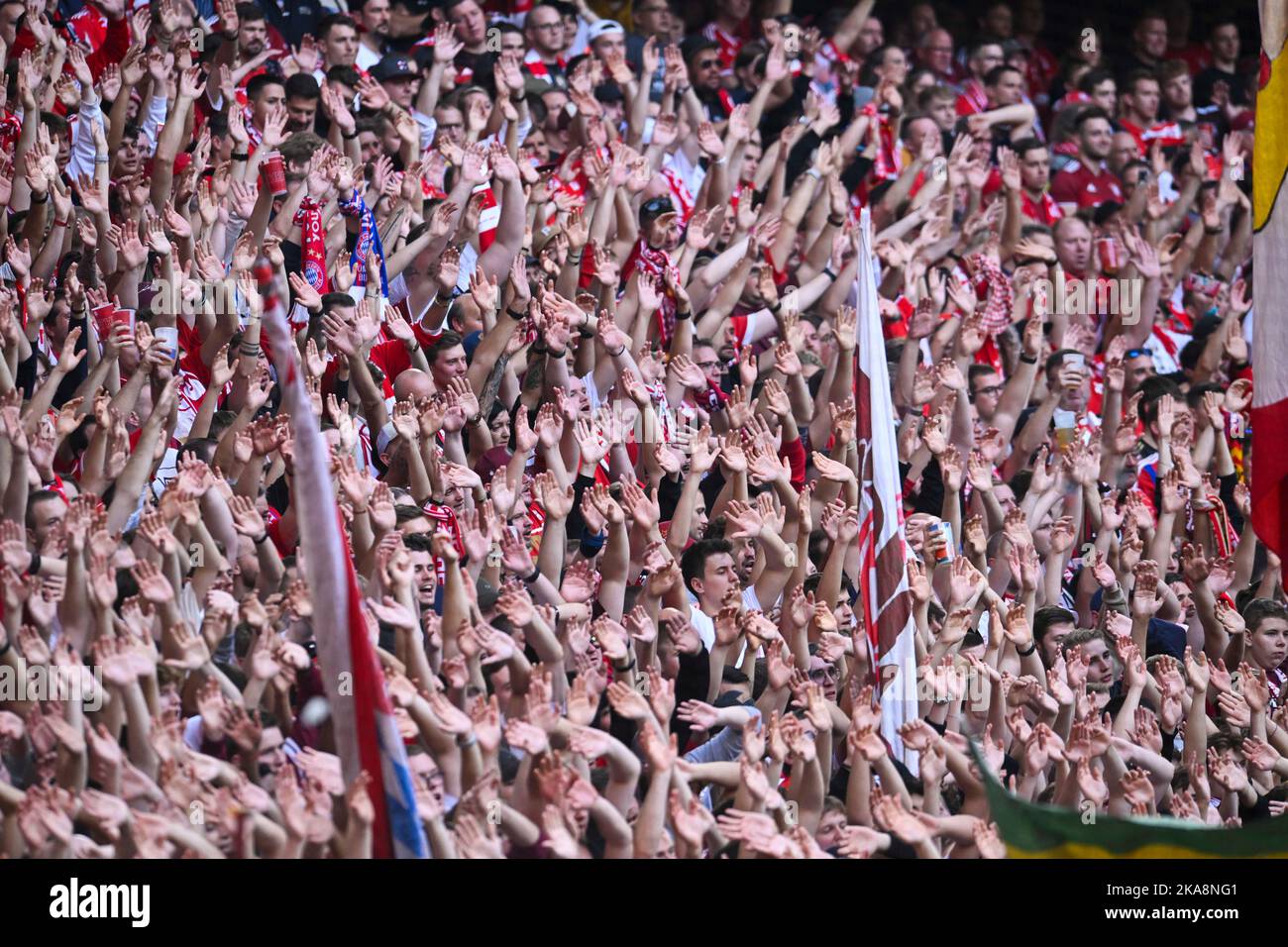 Dfl 1 ligue in germany hi-res stock photography and images - Alamy