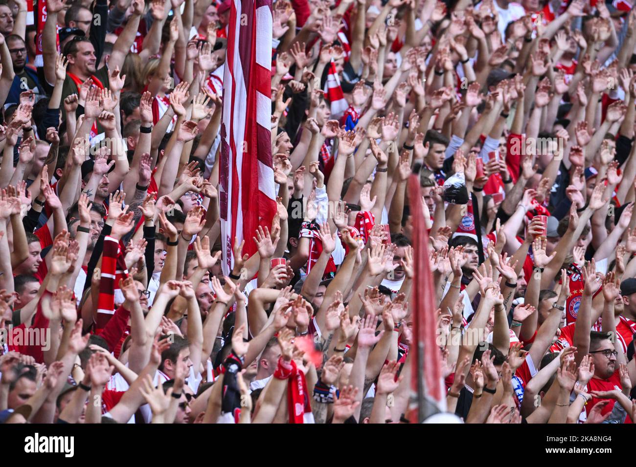 Dfl 1 ligue in germany hi-res stock photography and images - Alamy