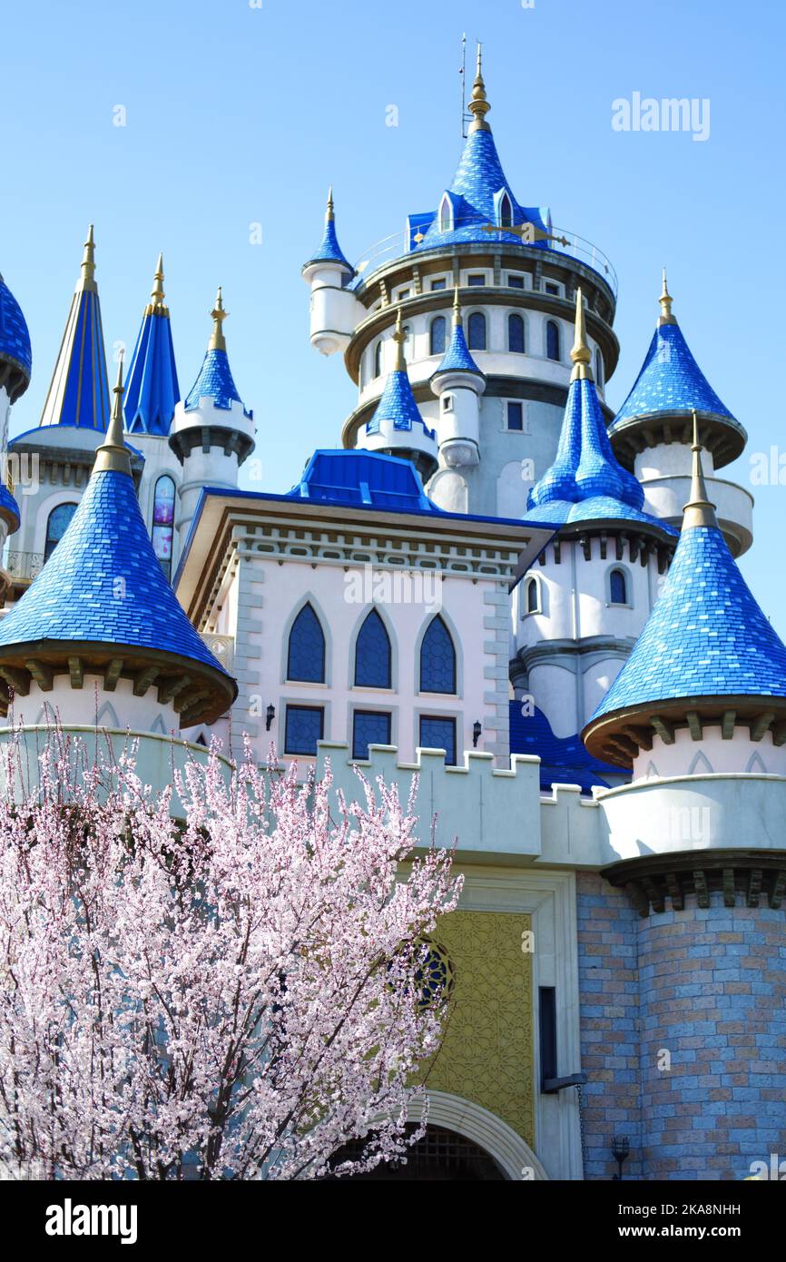 Blue vintage Castle behind flowering trees with clear sky at the ...