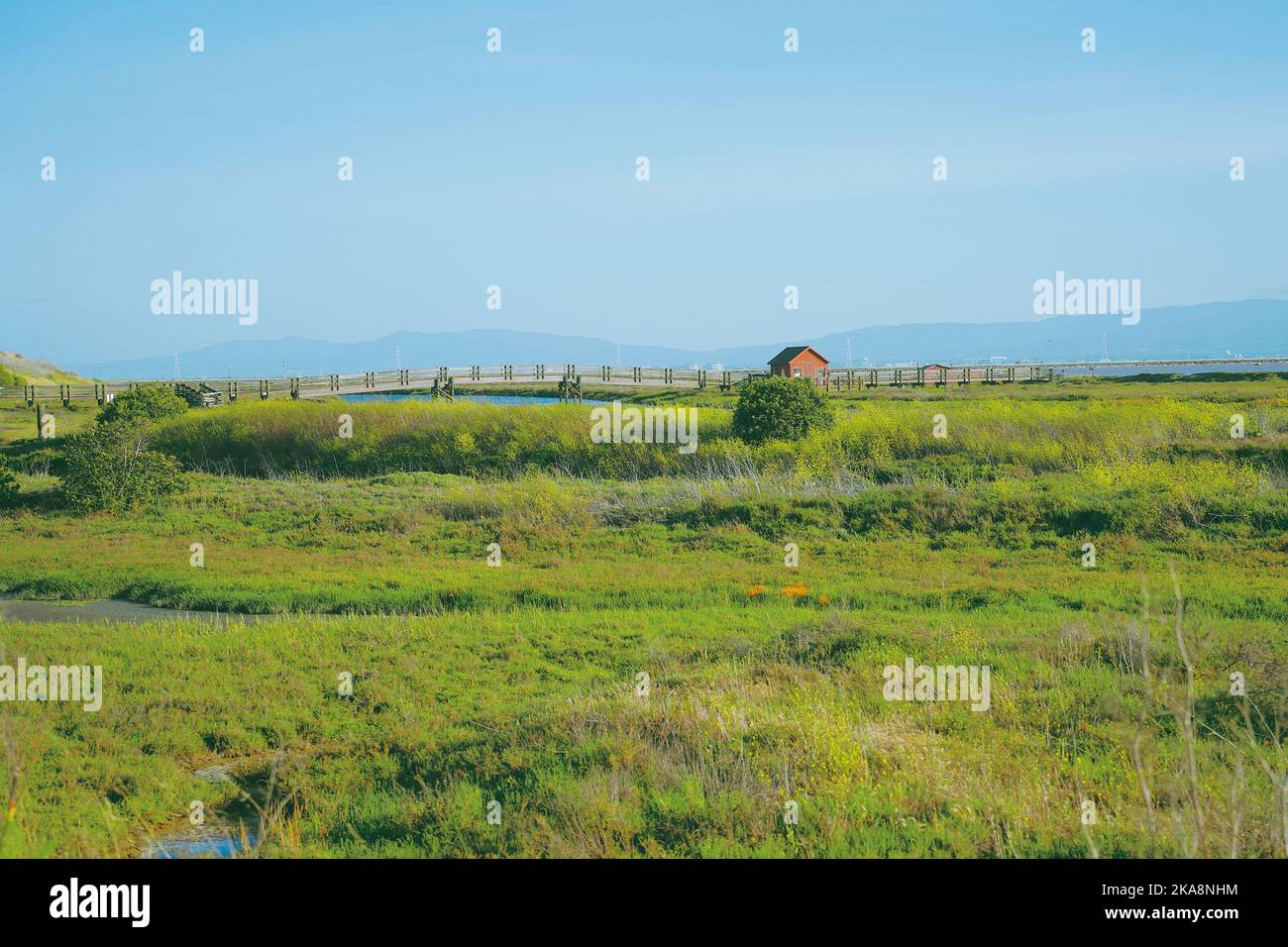A natural view of green meadows in the countryside under a clear sky ...