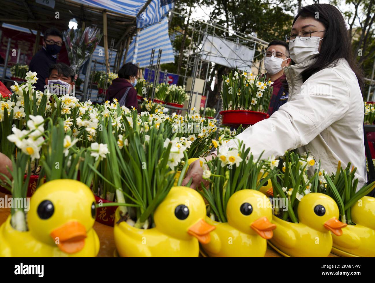 Customers visit the Lunar New Year flower market at Victoria Park in ...