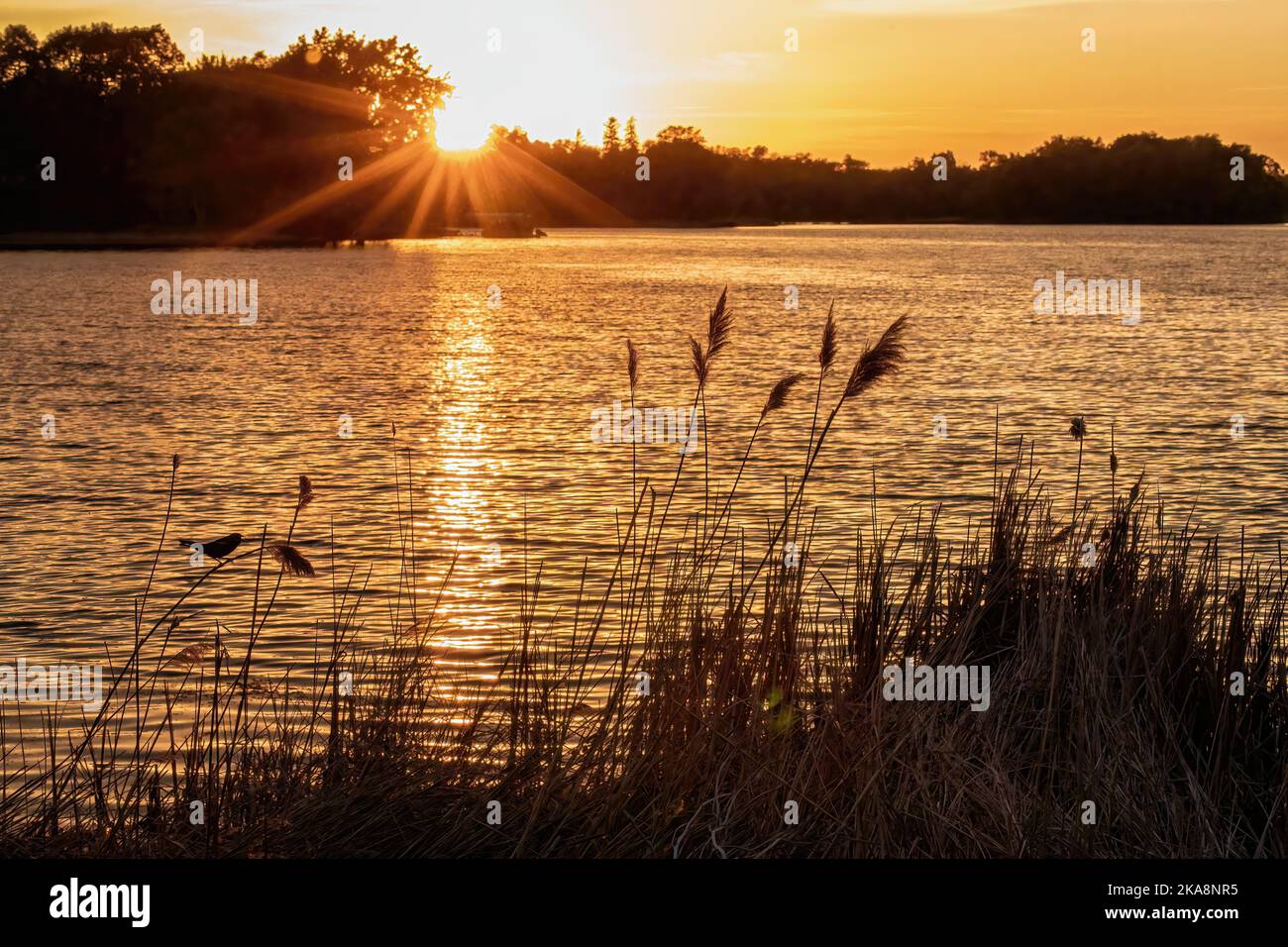 Golden sunbeam hi-res stock photography and images - Alamy