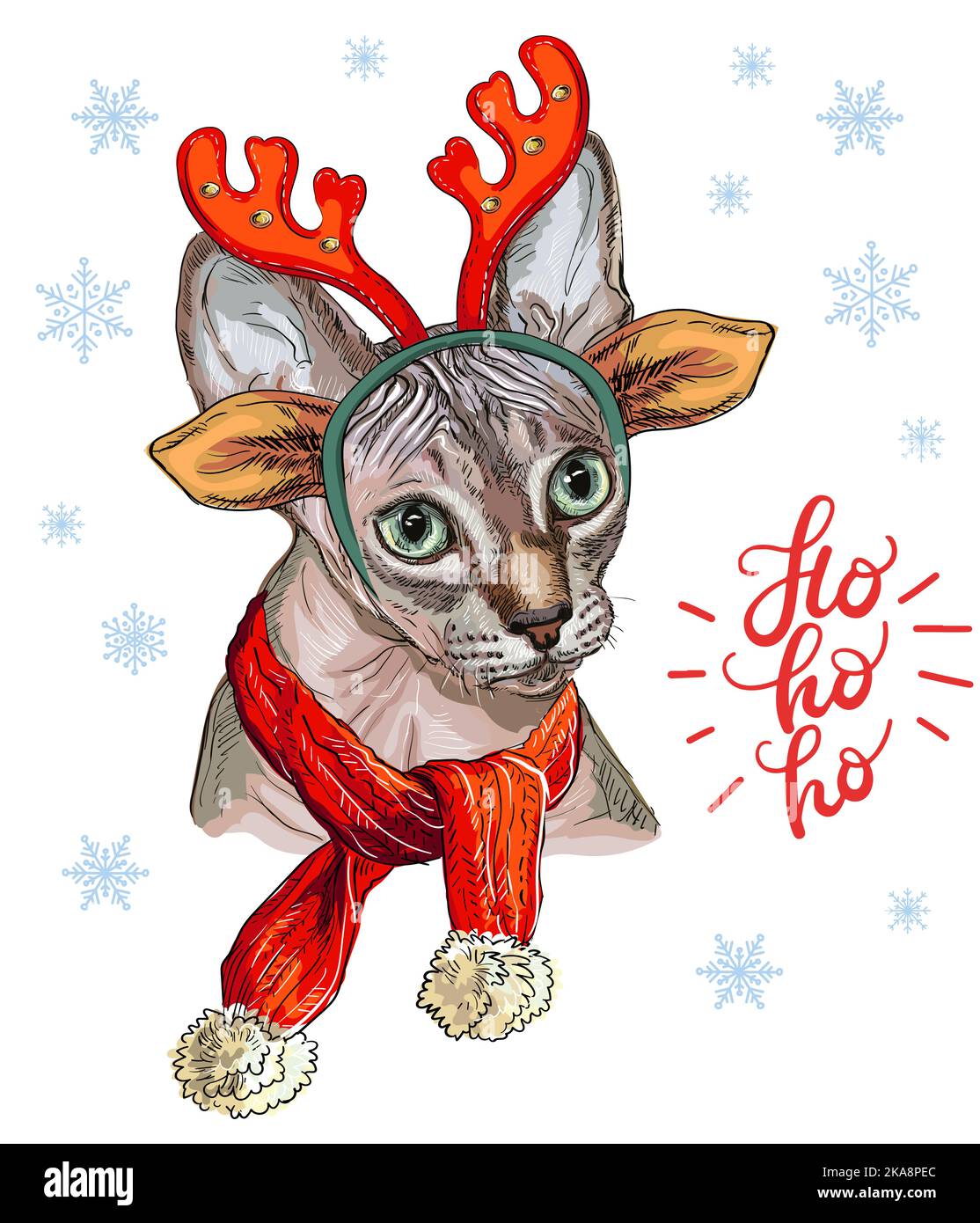Sphynx cat christmas hi-res stock photography and images - Alamy