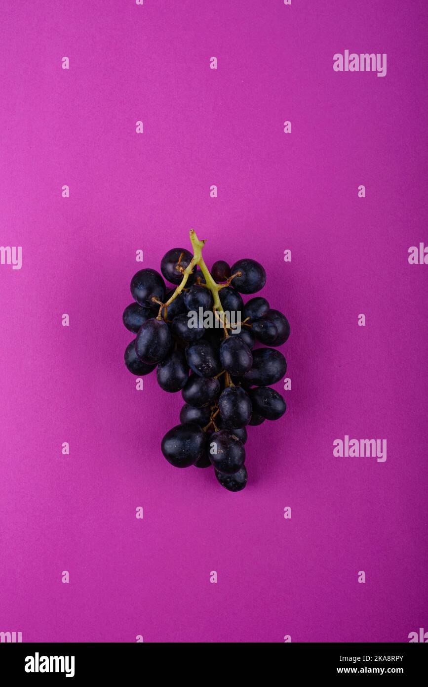 Red grape on purple violet background. Harvest concept Stock Photo - Alamy