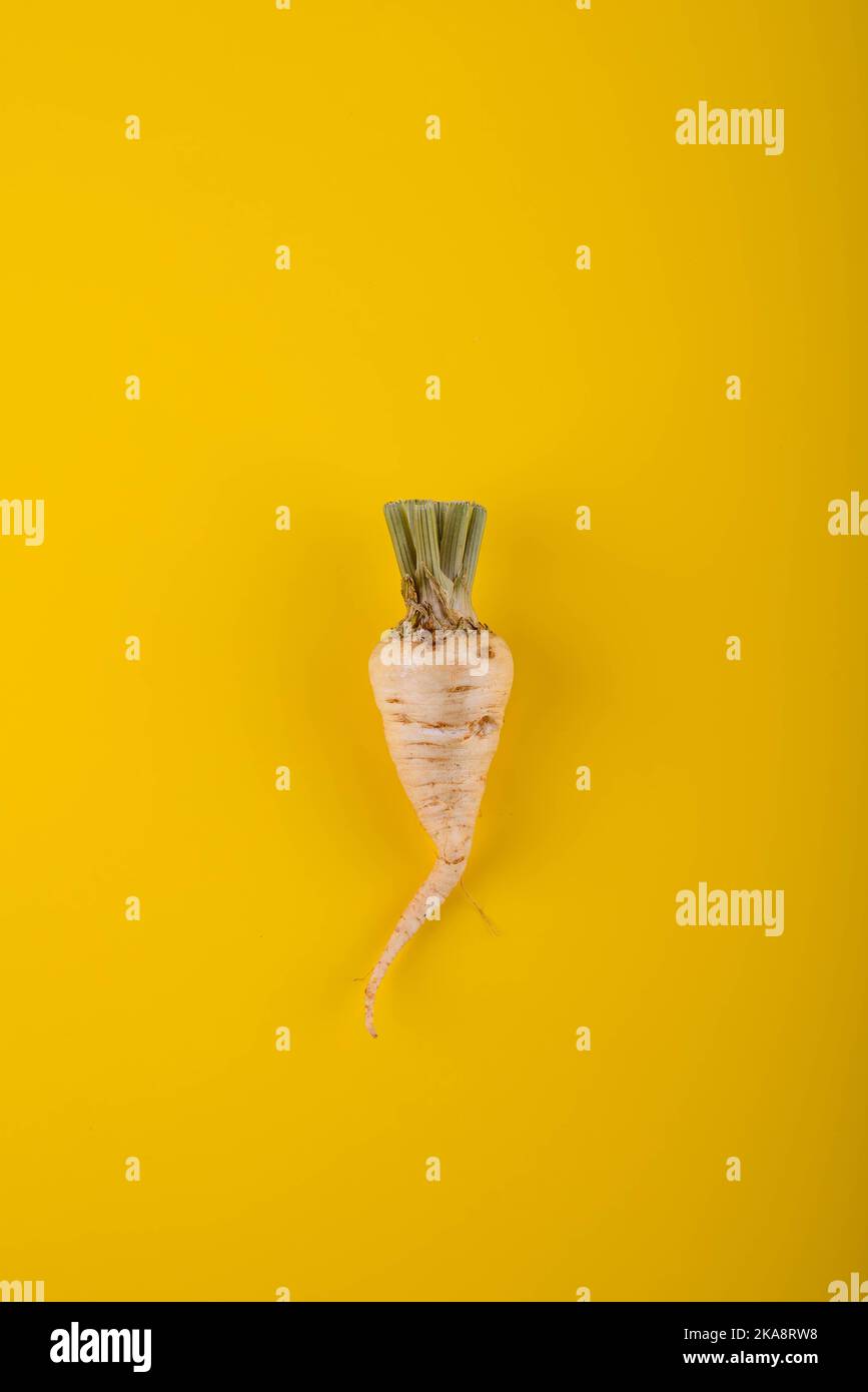 Sweet parsley close up hi-res stock photography and images - Alamy