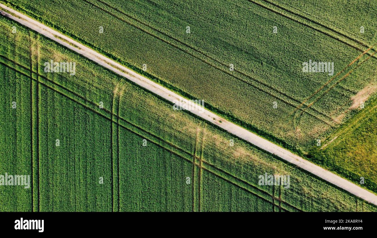 An aerial view of a narrow path surrounded by green grass on both sides ...