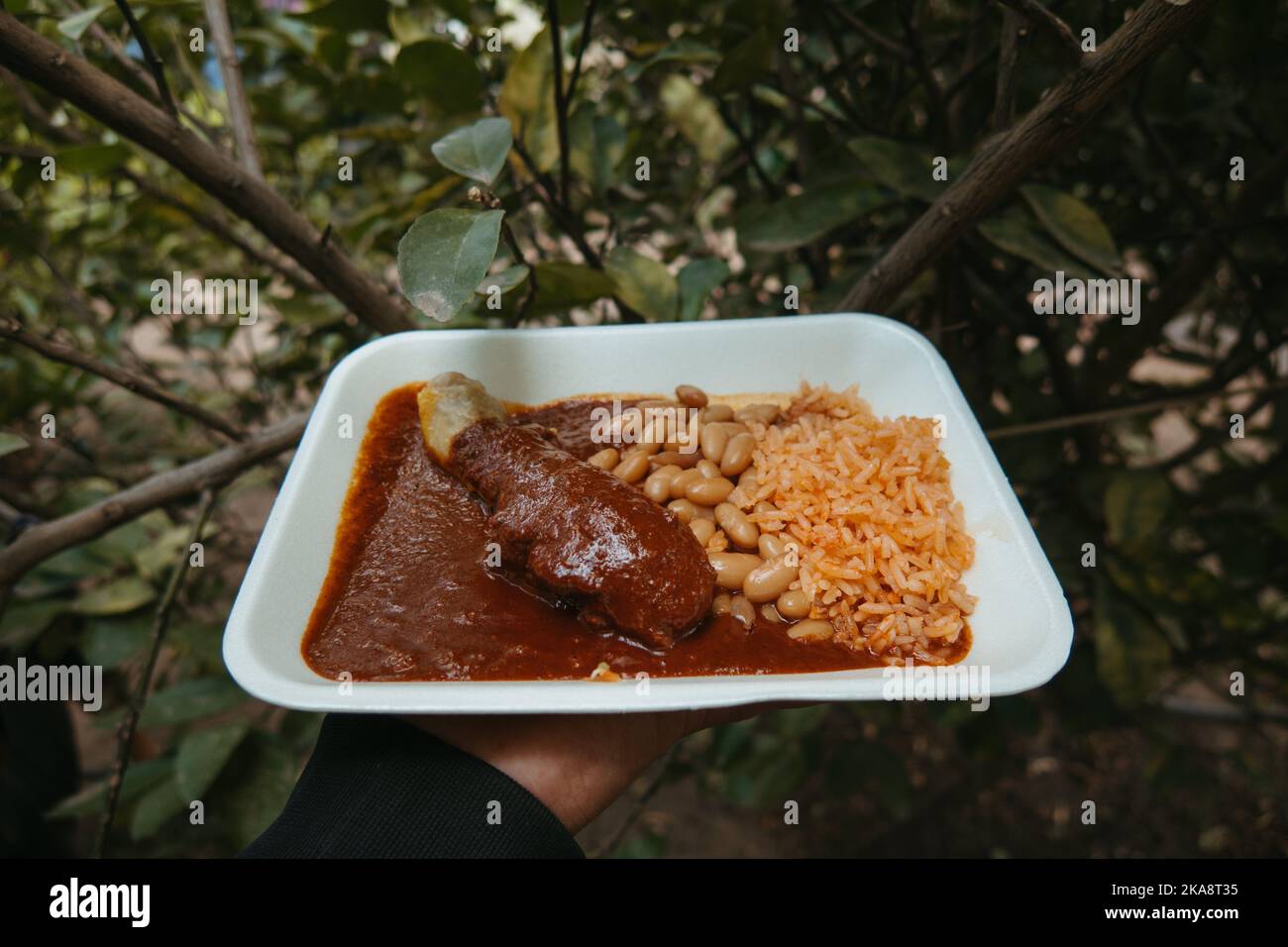 A Mexican indigenous woman preparing Mole on a clay pot Stock Photo - Alamy