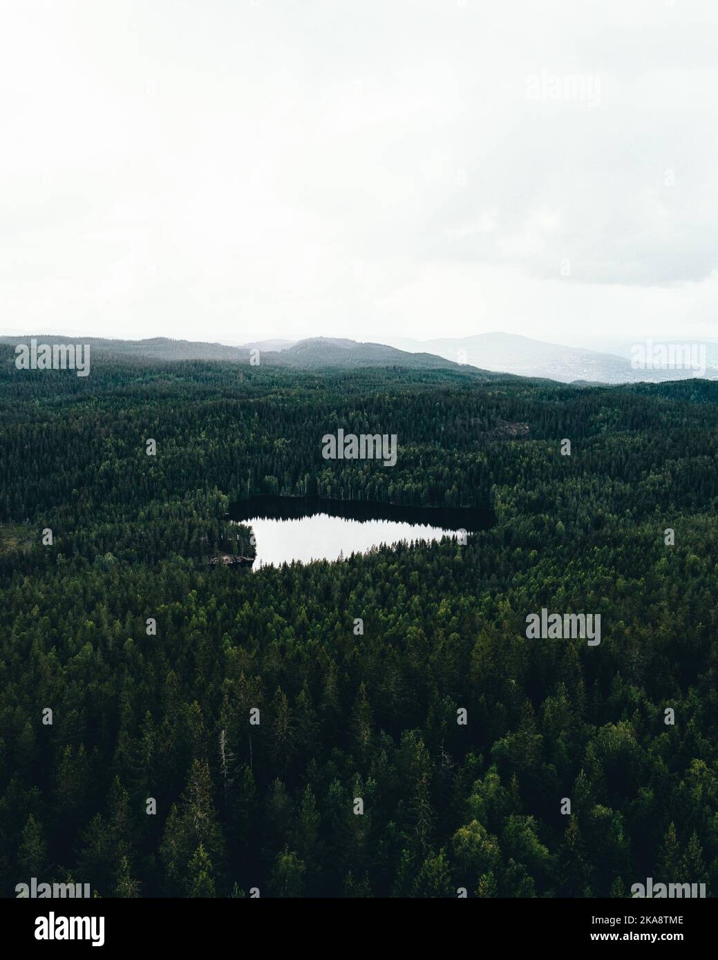 A vertical aerial view of a lake in the middle of a forest in Oslo ...